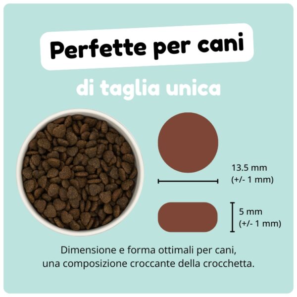 Crocchette Benessere della cute – Valix Nutrition
